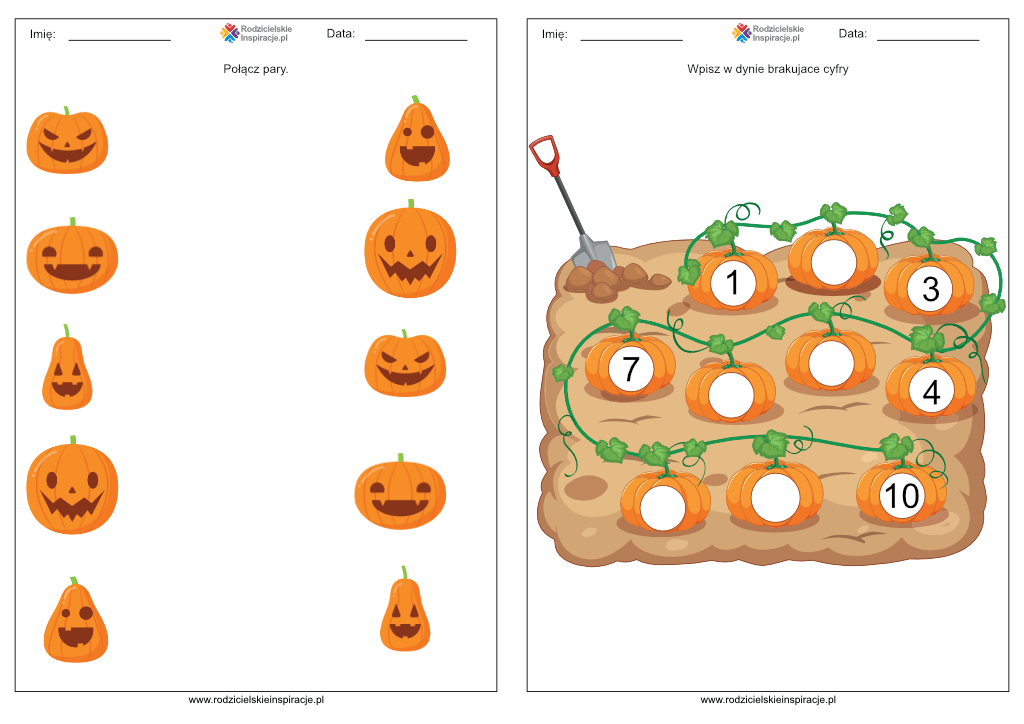 Dynia. Karty pracy na Dzień Dyni i Halloween